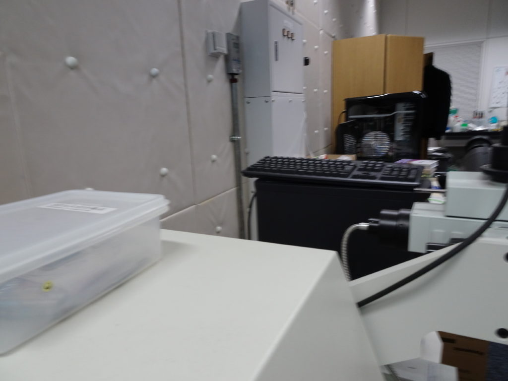 SSI(現日立ハイテクサイエンス) SPI4000/SPA400 原子力間力顕微鏡 (SPM/AMF)