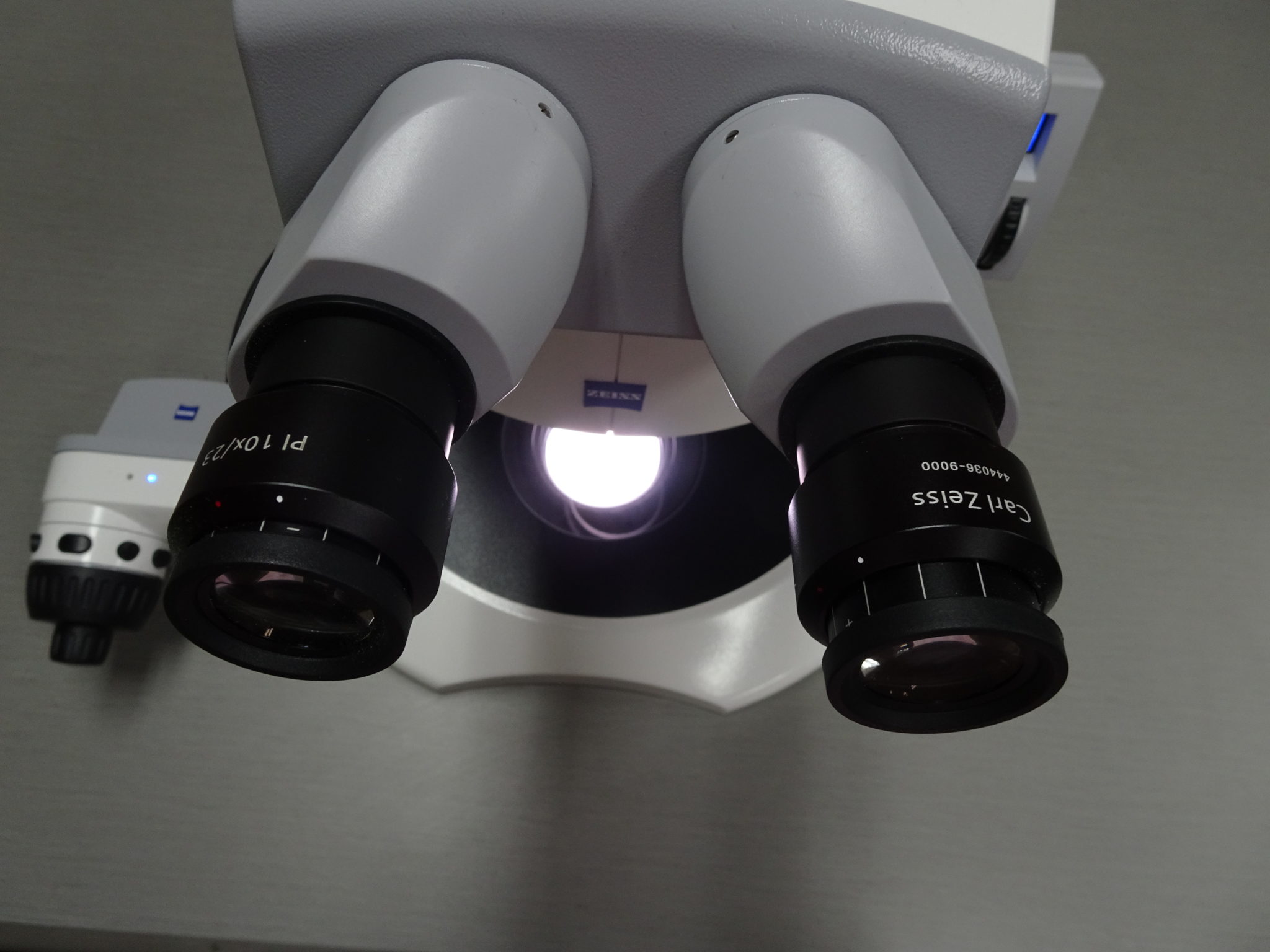 ZEISS SteREO Discovery.V20 / V12 / V8/実体蛍光顕微鏡/