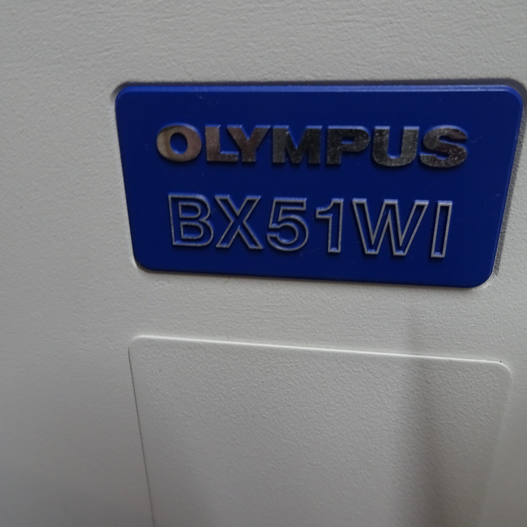 オリンパス/BX51WI/4×,10×,20×/研究用ステージ固定式正立顕微鏡/