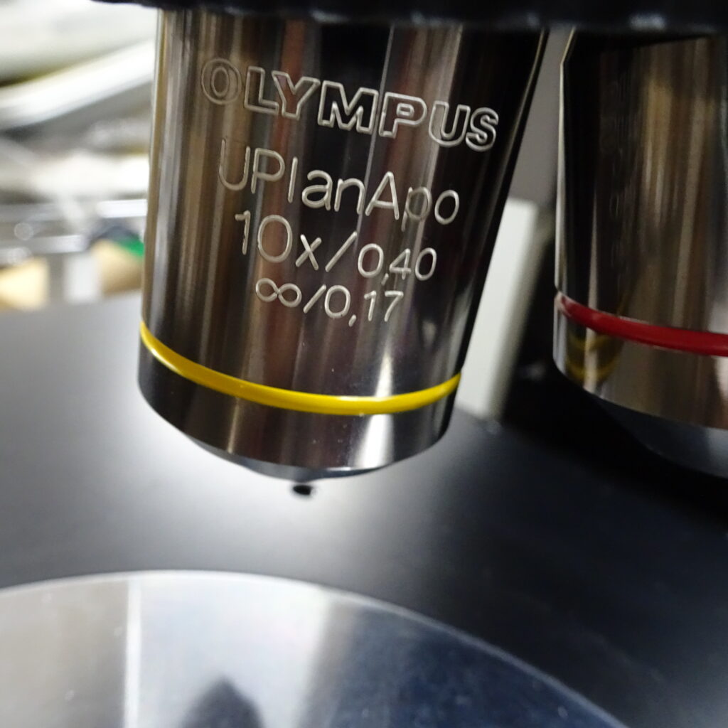 オリンパス/BX51WI/4×,10×,20×/研究用ステージ固定式正立顕微鏡/