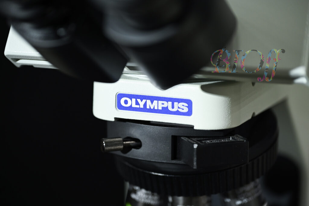 オリンパス/BX53/正立システム顕微鏡/