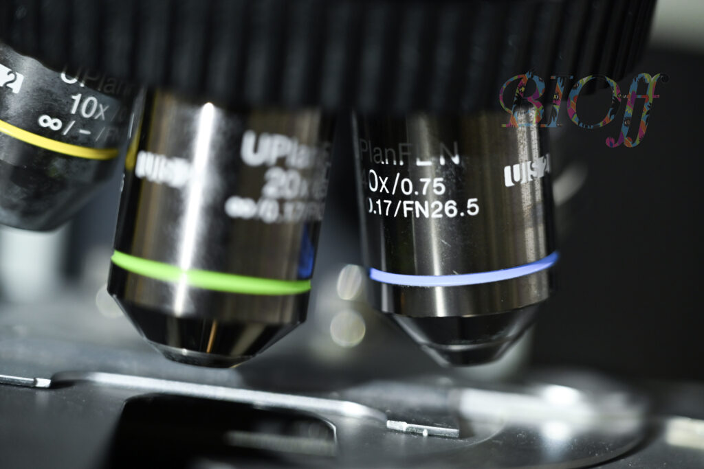 オリンパス/BX53/正立システム顕微鏡/