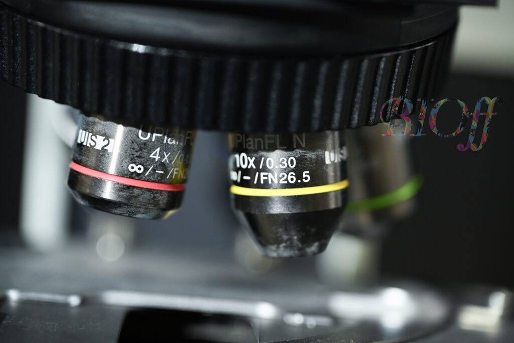 オリンパス/BX53/正立システム顕微鏡/