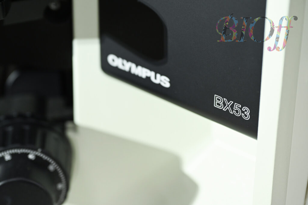 オリンパス/BX53/正立システム顕微鏡/